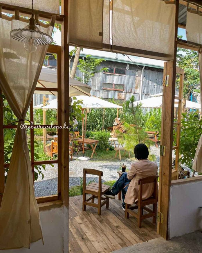 Sunny Farm - Một nơi có cây có cỏ, có thỏ có cừu ở Sài Gòn - 1 phút Sài Gòn