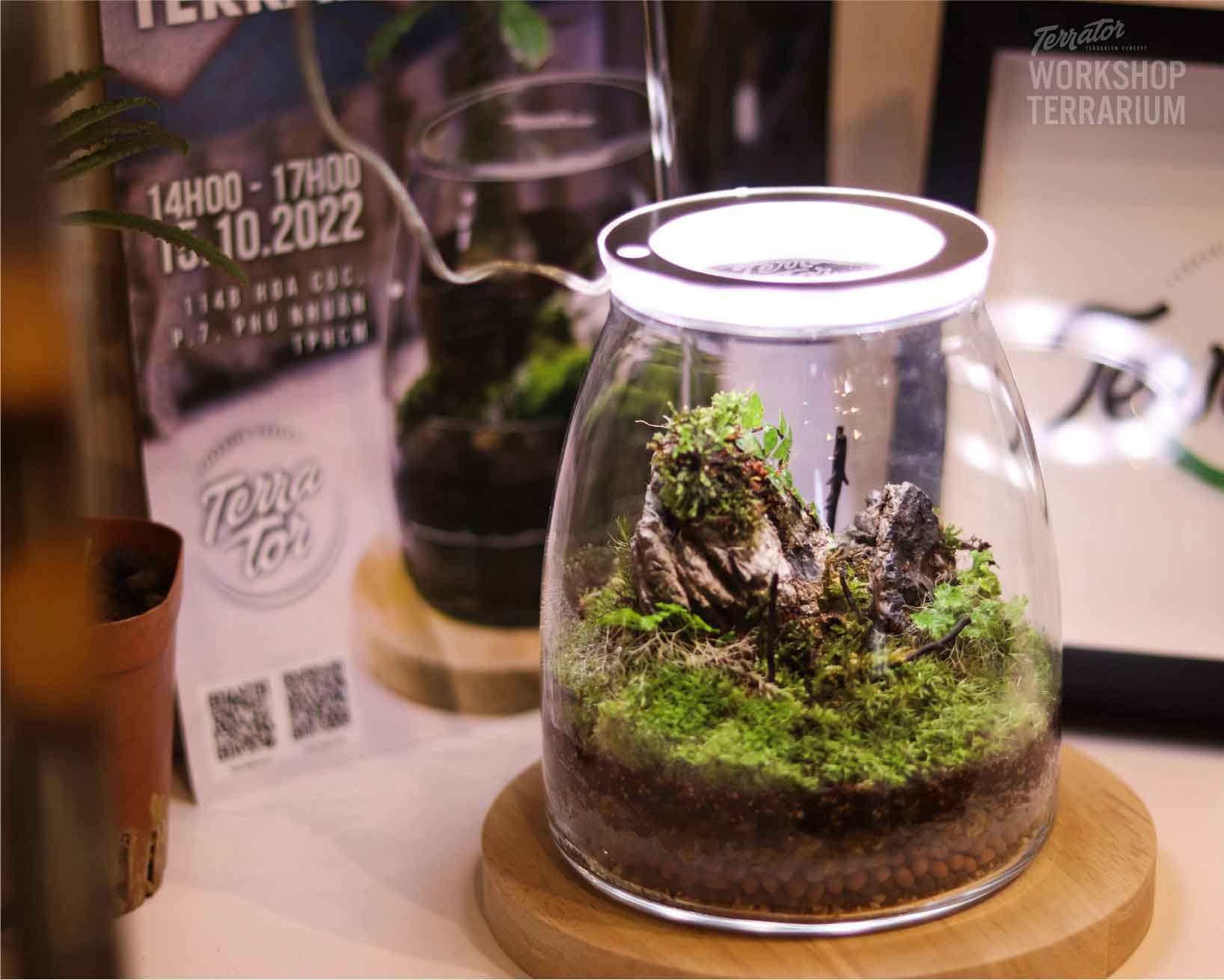 Top 8 Workshop Terrarium ở Sài Gòn để bạn tự tay thiết kế “khu vườn ...